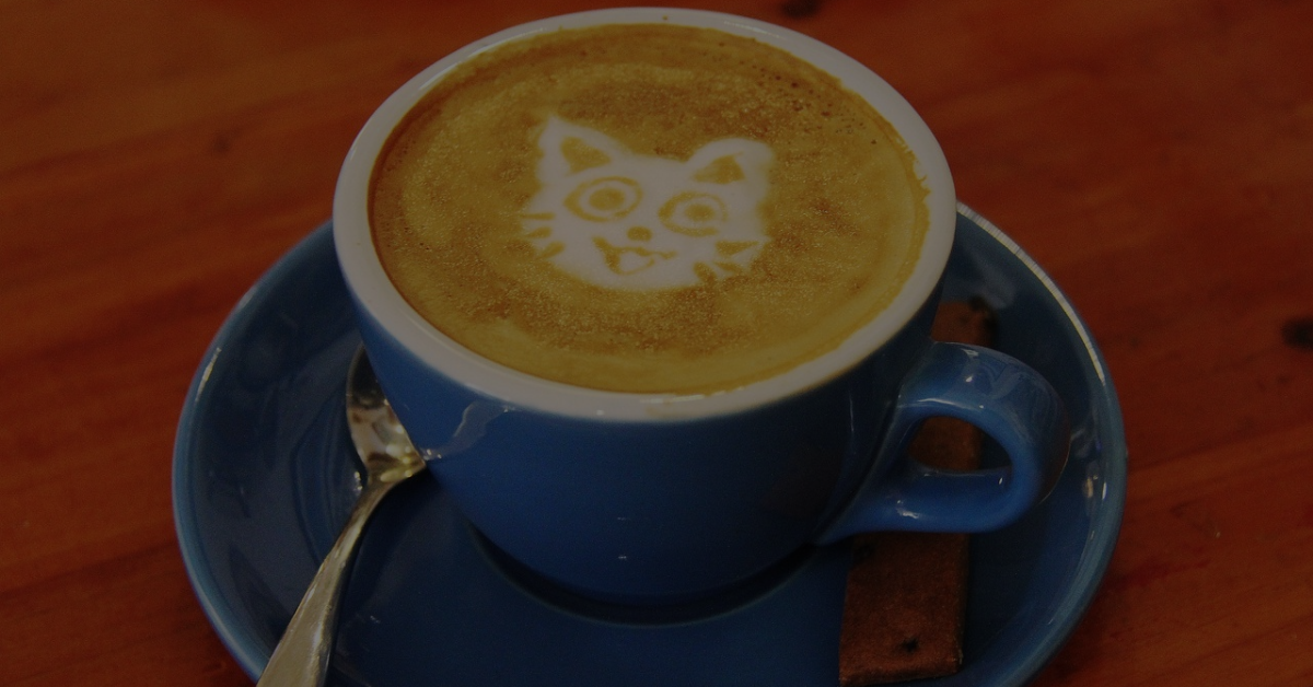 Purr-fect Getaways: Top 10 Best Cat Cafes in the USA | PurrfectJourney