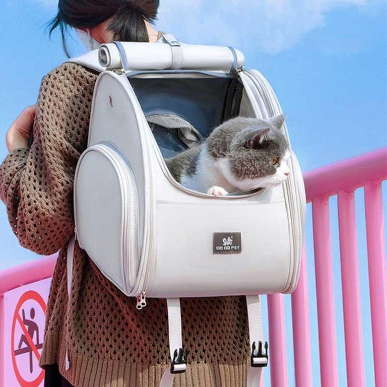 Travel Safely with a Cat Transport Box